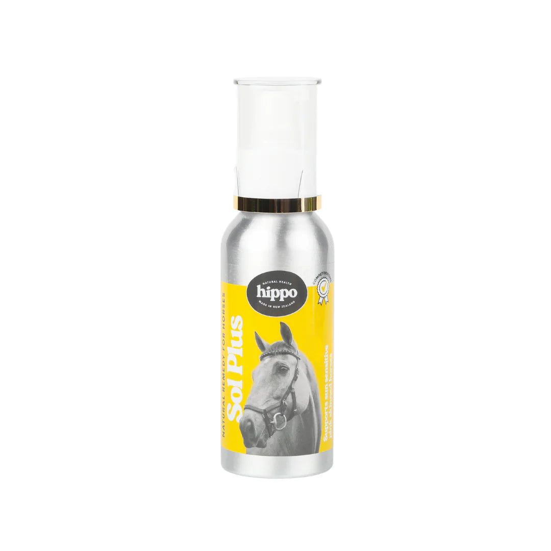 Sol Plus – Groom & Gallop